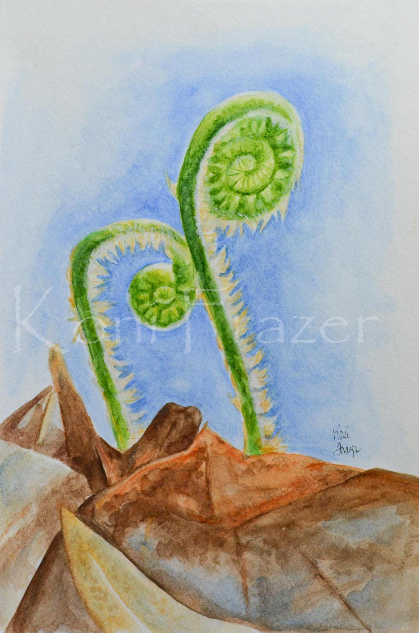 Fiddlehead Ferns, Original Watercolor Painting, Colorful Fern Painting ...