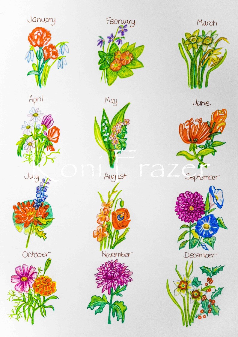 Birthday Flowers by Month Birthday Month Flower Chart Birth - Etsy Finland