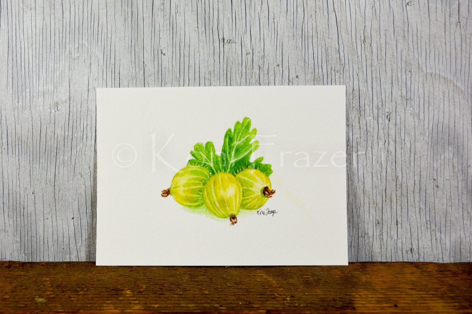 Watercolor Painting of Gooseberries, Indian Gooseberry, Original ...