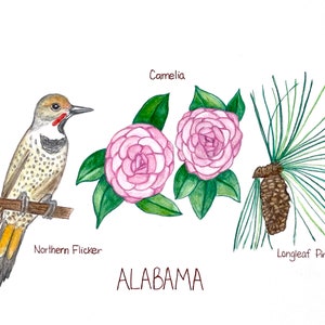 Alabama State Symbols: Original Watercolor Painting - Etsy