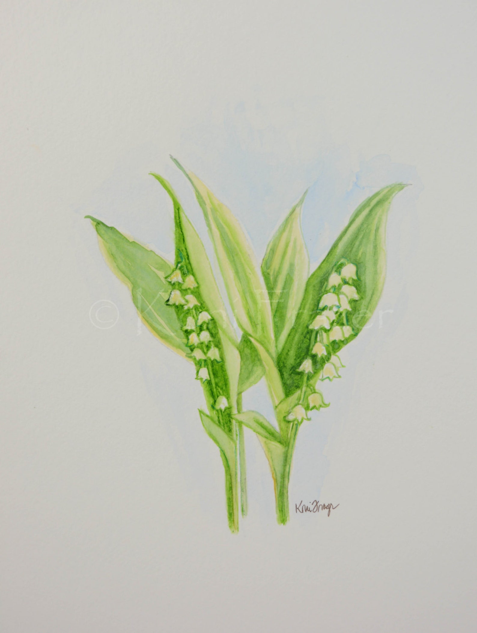 Lily of the Valley, May Birthday Flower, Original Watercolor Painting ...