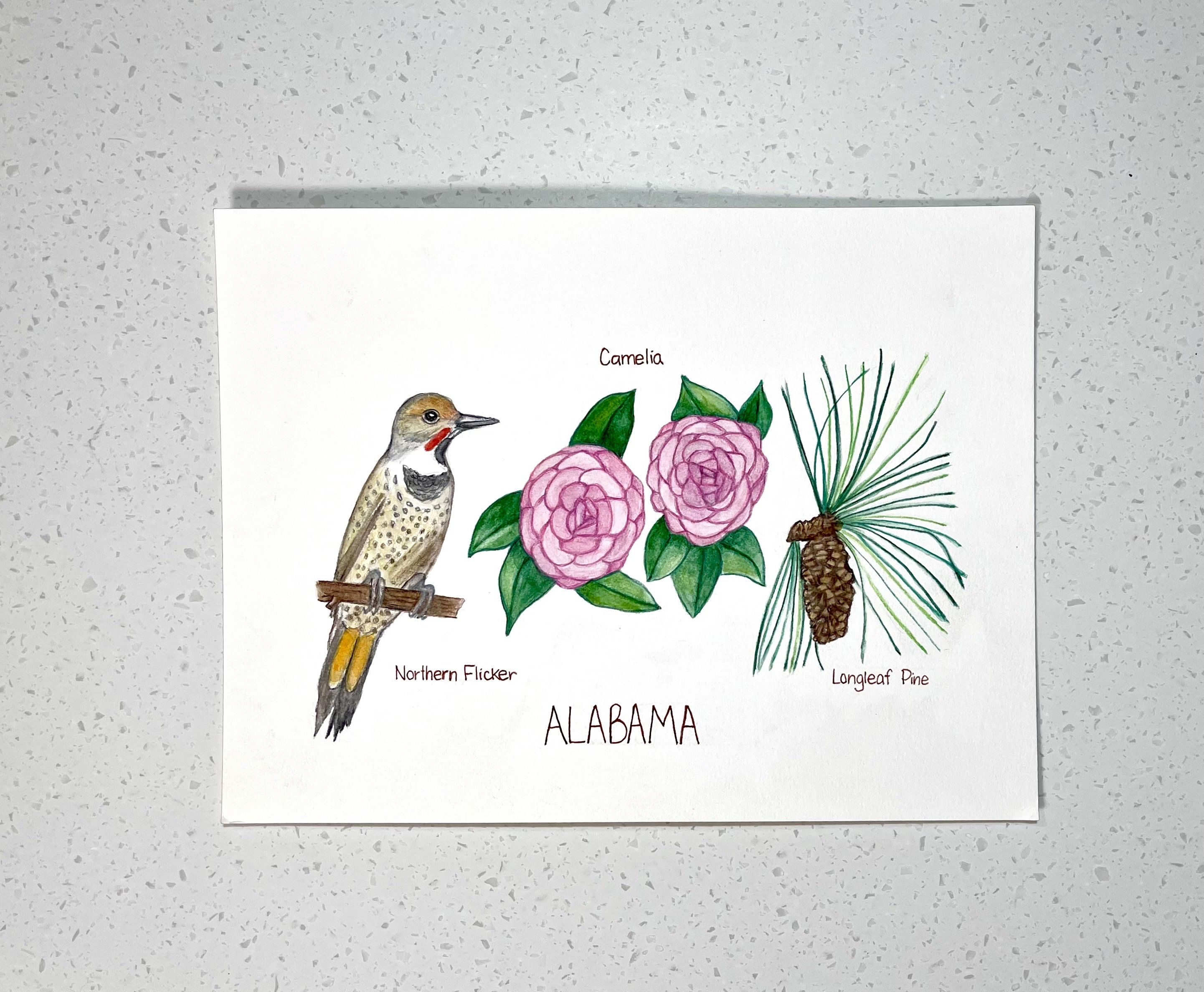 Alabama State Symbols: Original Watercolor Painting - Etsy