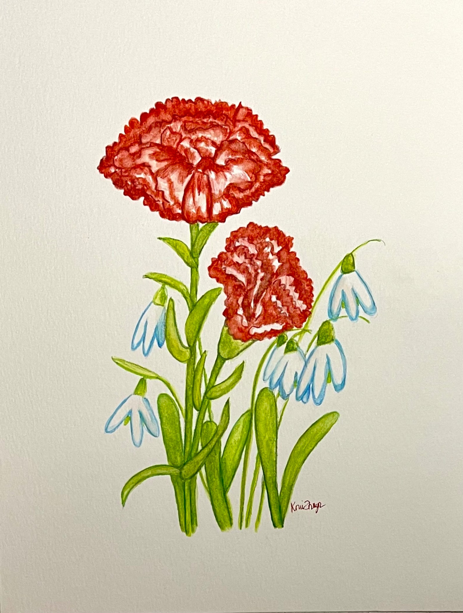 Carnation, Snowdrop January Birthday Flower, Original Watercolor ...