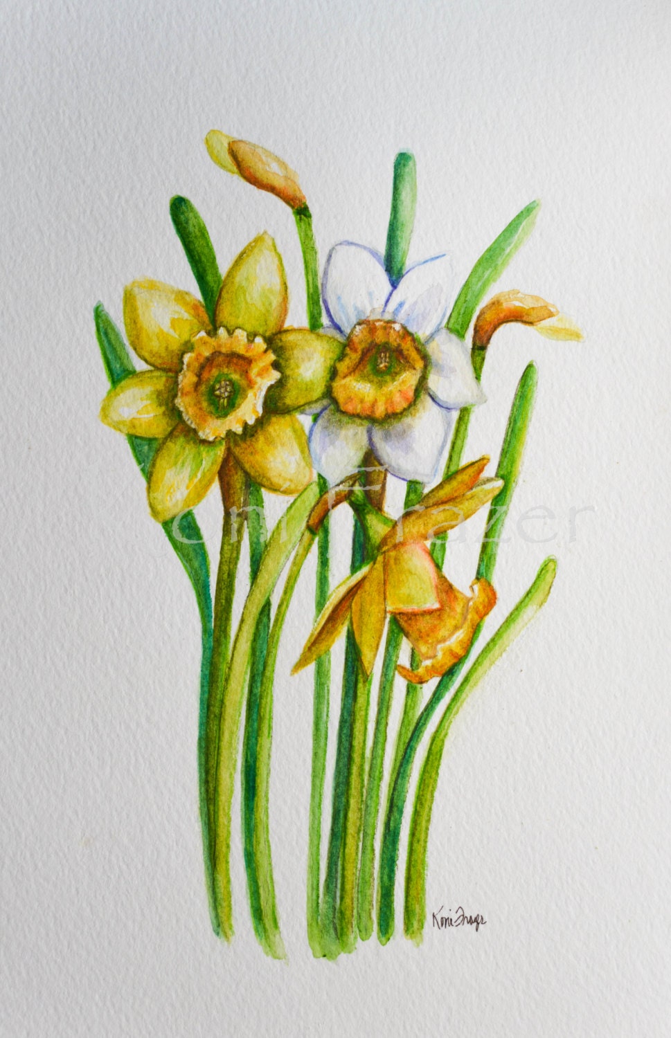 Daffodils March Birthday Flower, Original Watercolor Painting, Birth ...