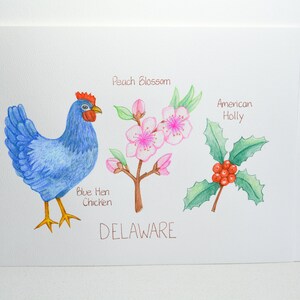 Delaware State Symbols: Blue Hen, Peach Blossom, Holly Watercolor ...