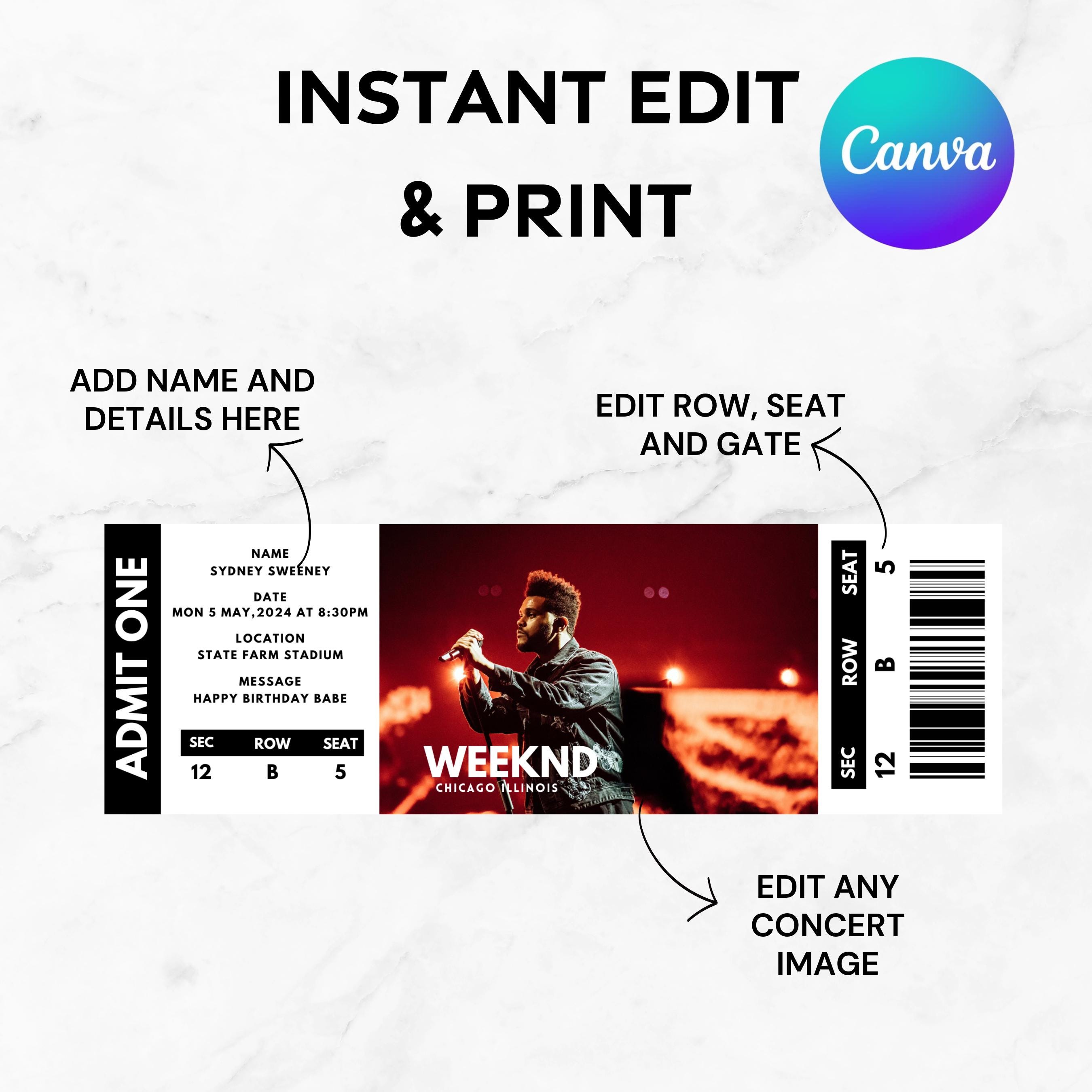 Concert Ticket Template, Surprise Concert Tickets, Printable Concert ...