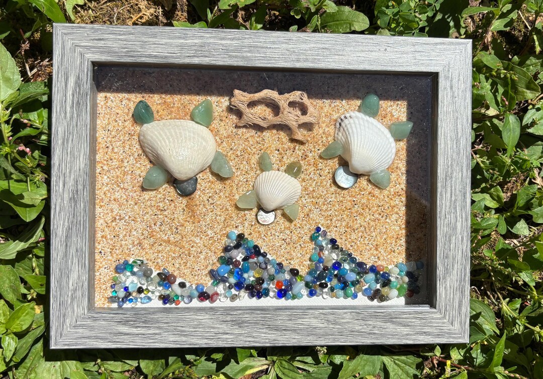 Sea Turtle Family Seashell Art Coastal Wall Decor With Shells From ...
