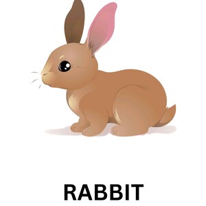 Flashcards Animals - Etsy