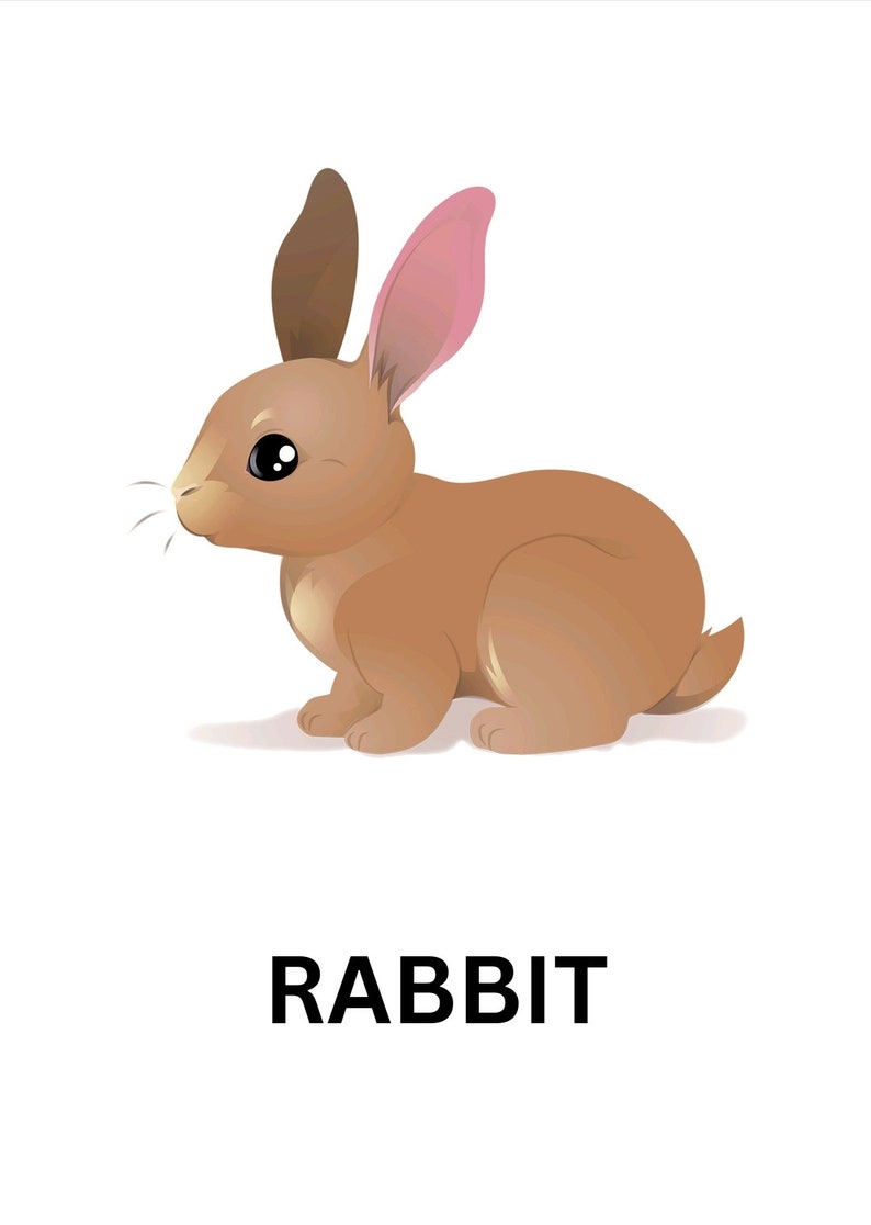 Flashcards Animals - Etsy