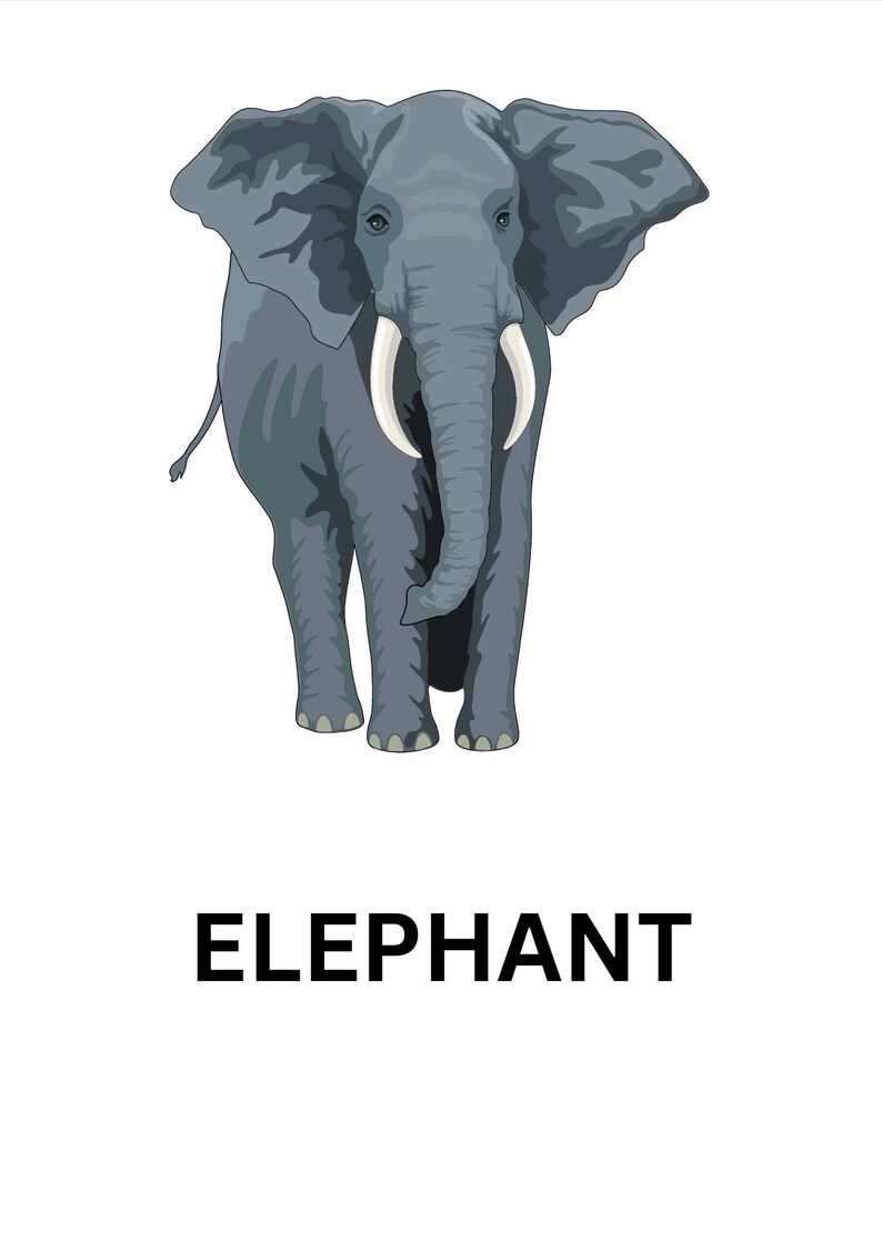 Flashcards Animals - Etsy