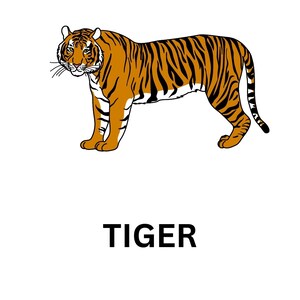 Flashcards Animals - Etsy
