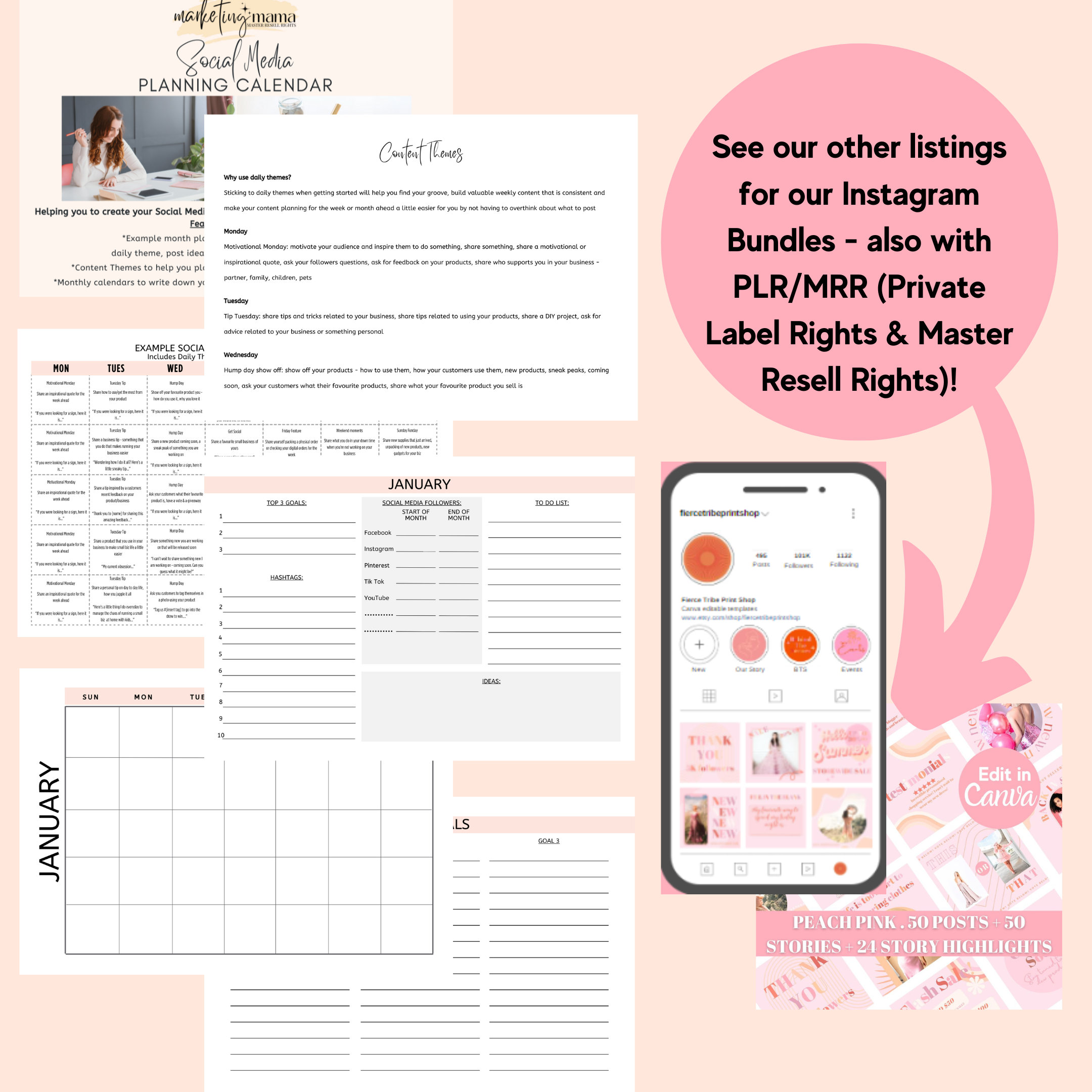 PLR/MRR Social Media Planning Calendar Plus FREE Canva Course - Etsy