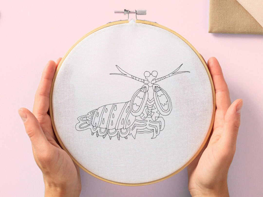 Mantis Shrimp Embroidery Pattern - Digital Download, Unique Marine Life ...