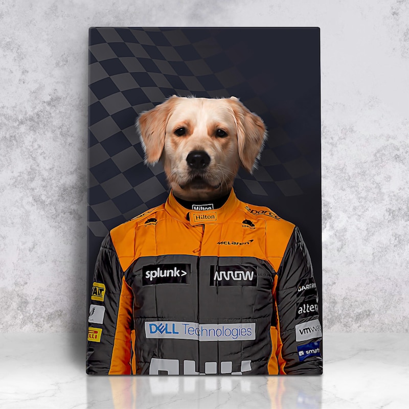 Pet Portraits in Outfits - Etsy