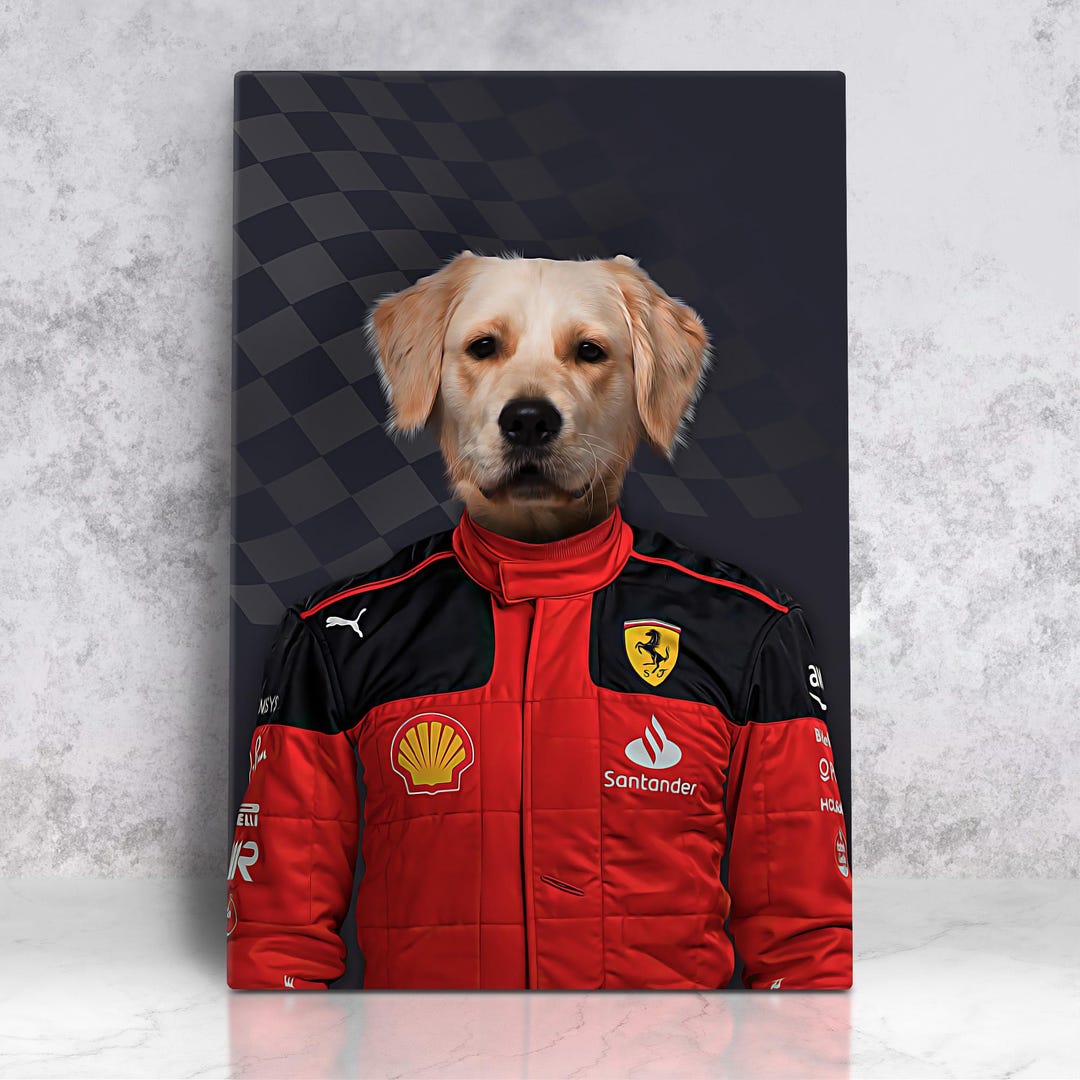 FAMOUS PET RACER Costume, Pet Portrait From Photo, Racer Pet Portrait ...