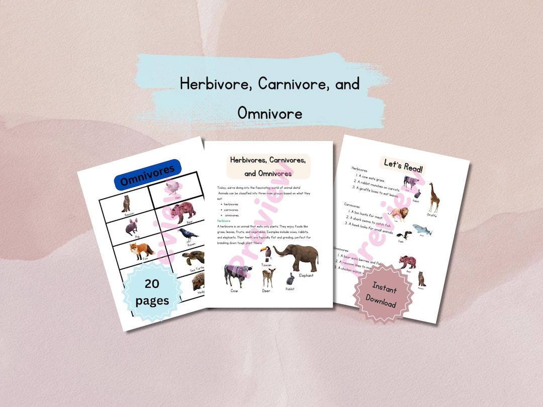 Herbivores, Carnivores, and Omnivores Animal Learning Pack – Montessori ...