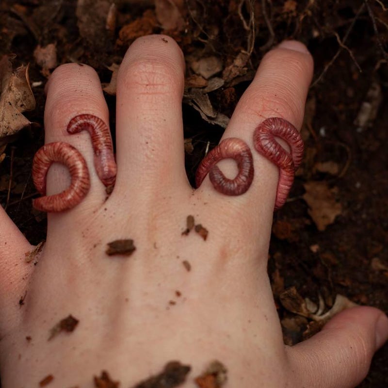 Weird Surreal Rings - Etsy
