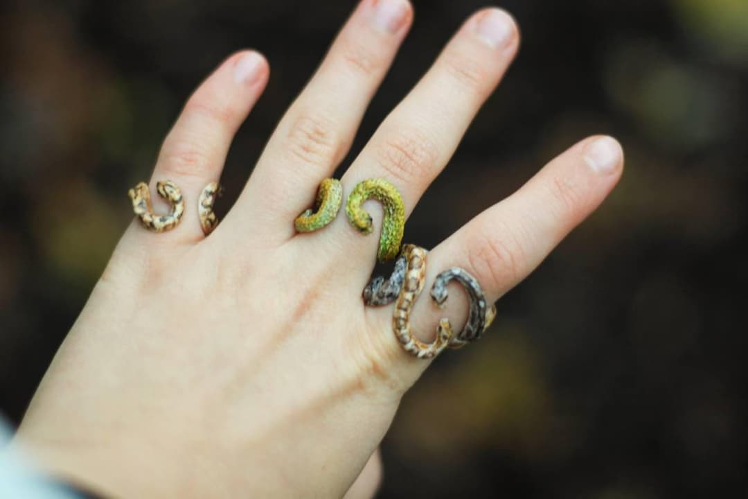 Handmade Polymer Clay Snake Ring: Custom Pet Jewelry, Adjustable - Etsy