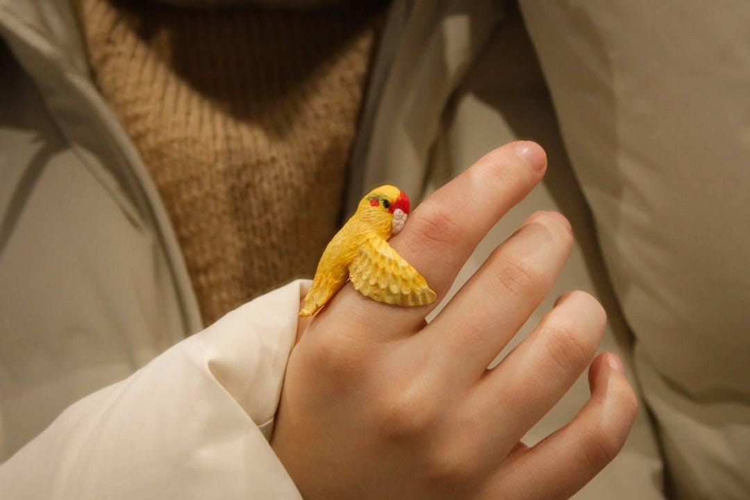 Personalized Parrot Ring - Pet Memorial - Pet Parrot Owners ...