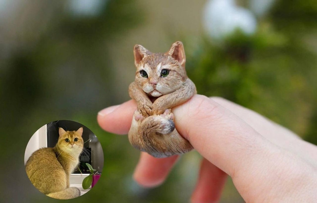 Custom Cat Rings — Personalized and Adjustable Options for Every Cat ...