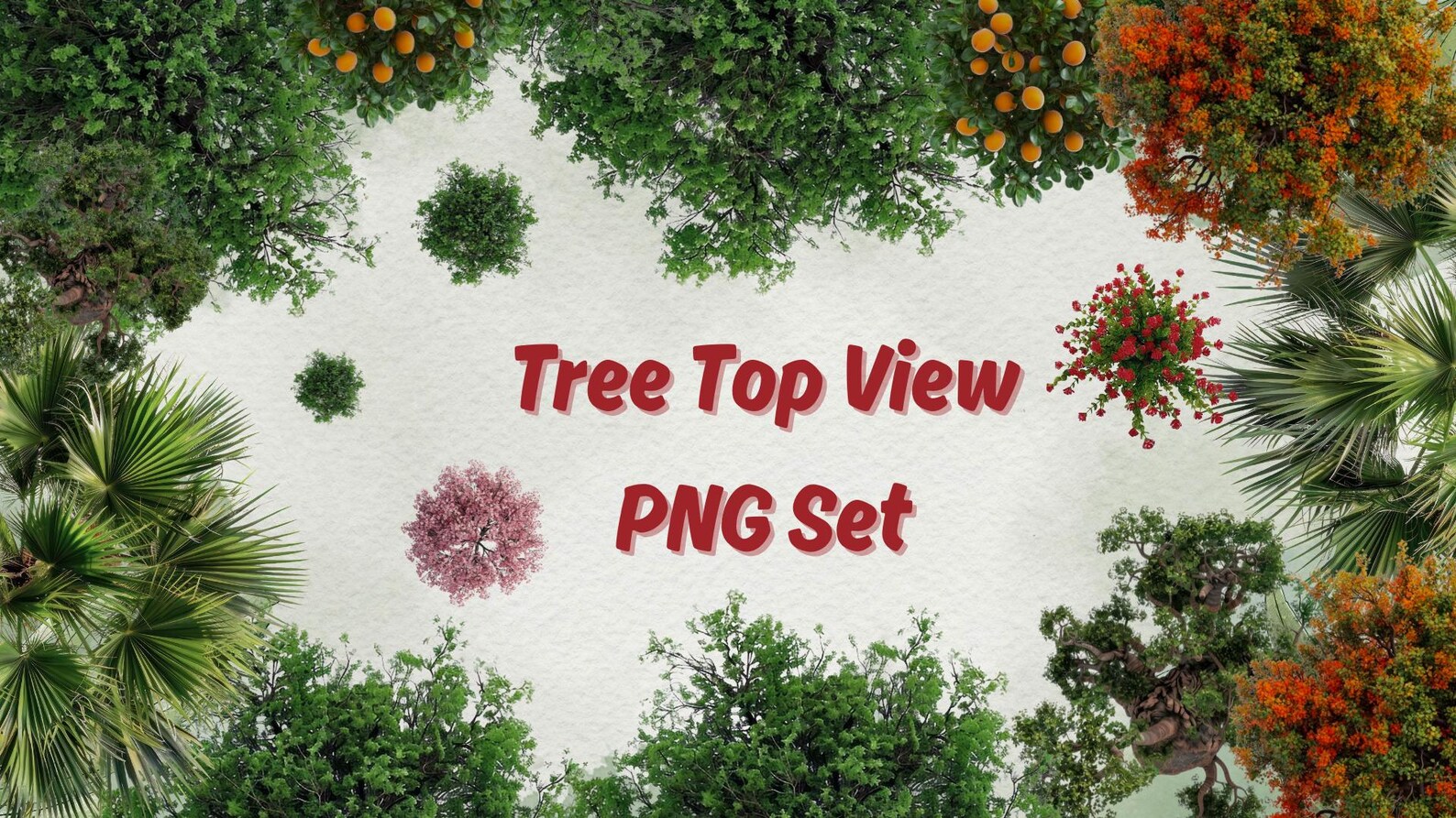 90 Tree Top View PNG Set Elevate Your Landscape Designs - Etsy