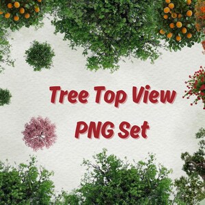 90 Tree Top View PNG Set Elevate Your Landscape Designs - Etsy