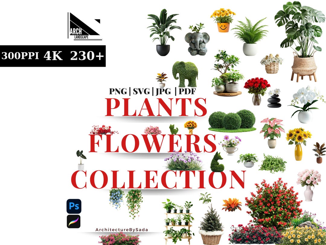 Botanical Clipart Collection: 230+ Plant & Flower Pngs - Etsy