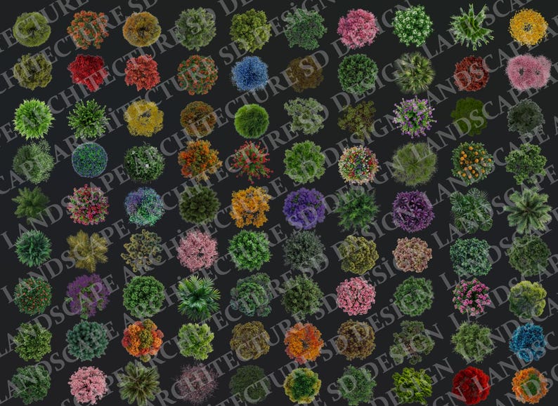 90 Tree Top View PNG Set Elevate Your Landscape Designs - Etsy