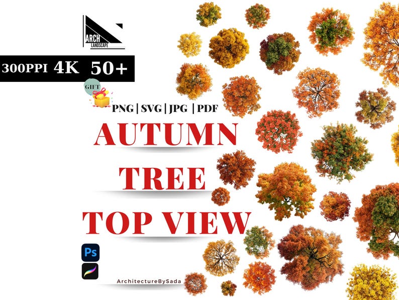 Autumn Tree Top View PNG Cutouts | Transparent Background Trees for ...