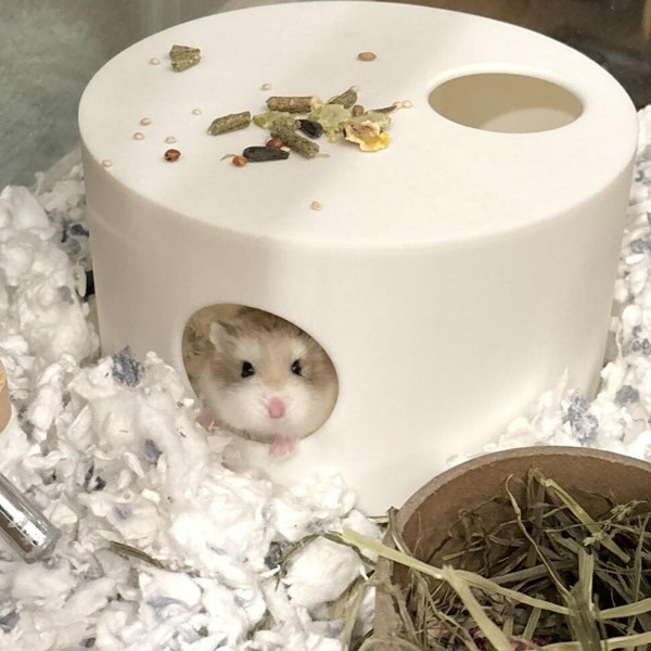 Hamster Hideout - Etsy