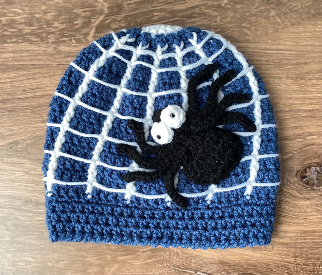 Spider Web Hat With Black Spider, Blue and White Beanie for Toddler or ...