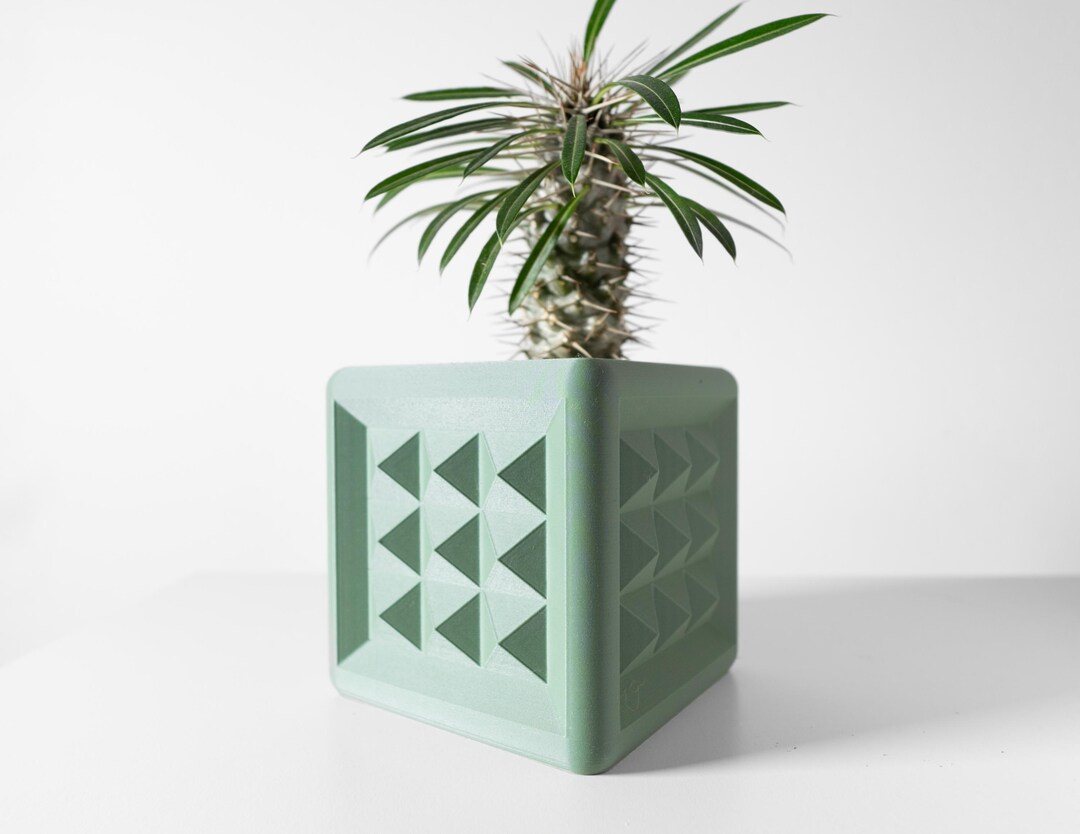 Modern Square Planter Pots for Succulents and Cacti With Tray | the ...