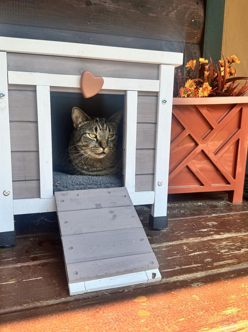 Outdoor Cat House | Weatherproof Wooden Hutch for Cats, Rabbits & Small ...
