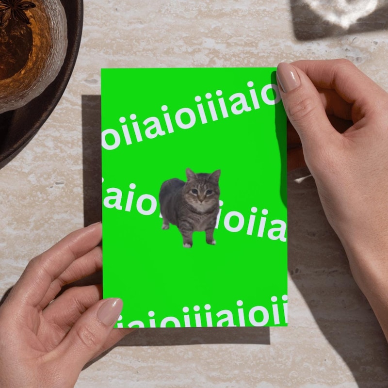 Oiia Cat - Etsy