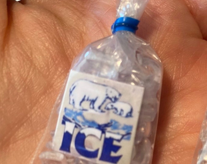 Miniature Bag of Ice - Etsy