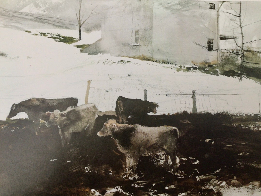 Andrew Wyeth Vintage Book Print, Unframed, Wall Decor, 1970s BROWN ...