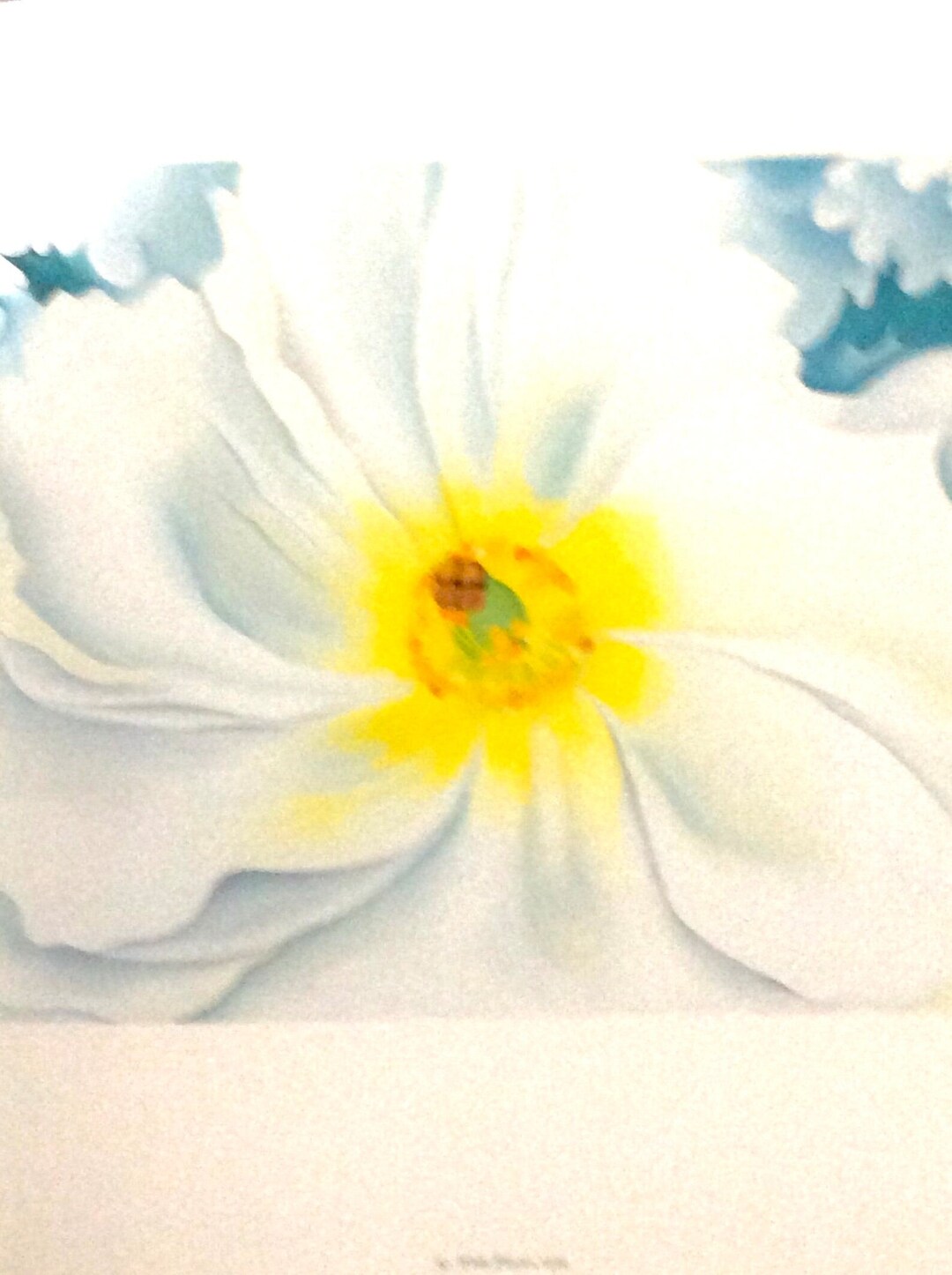 Georgia O’keeffe, White Flower, 1929, Book Page Print for Framing - Etsy