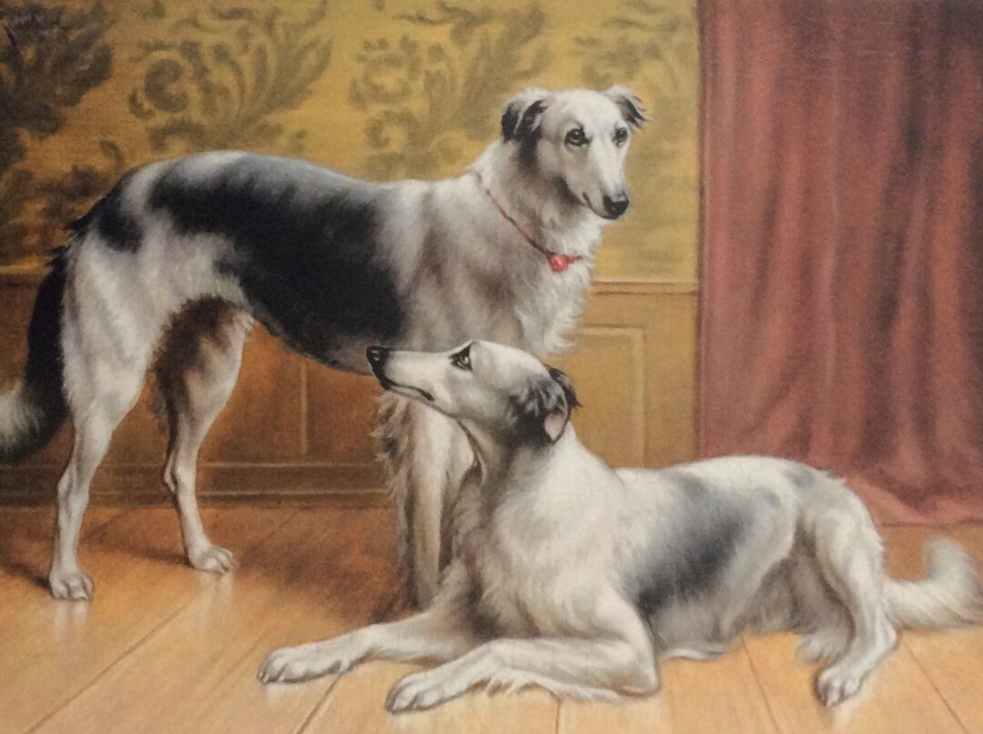 Vintage Dog Print Reproduction, Ready to Frame, 8 X 11 In. - Etsy