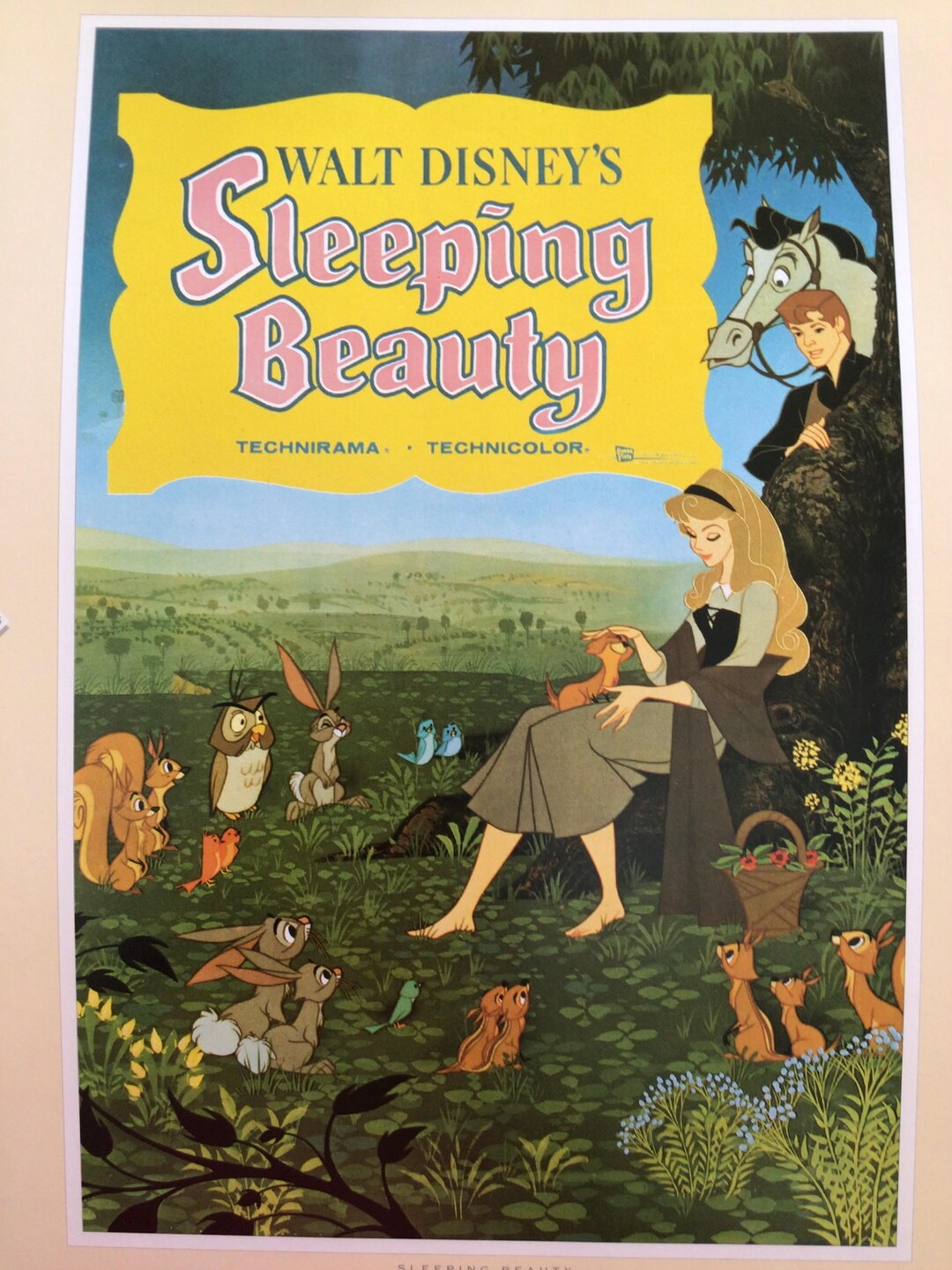 Walt Disney 2-sided Movie Cartoon Poster, Sleeping Beauty/three ...