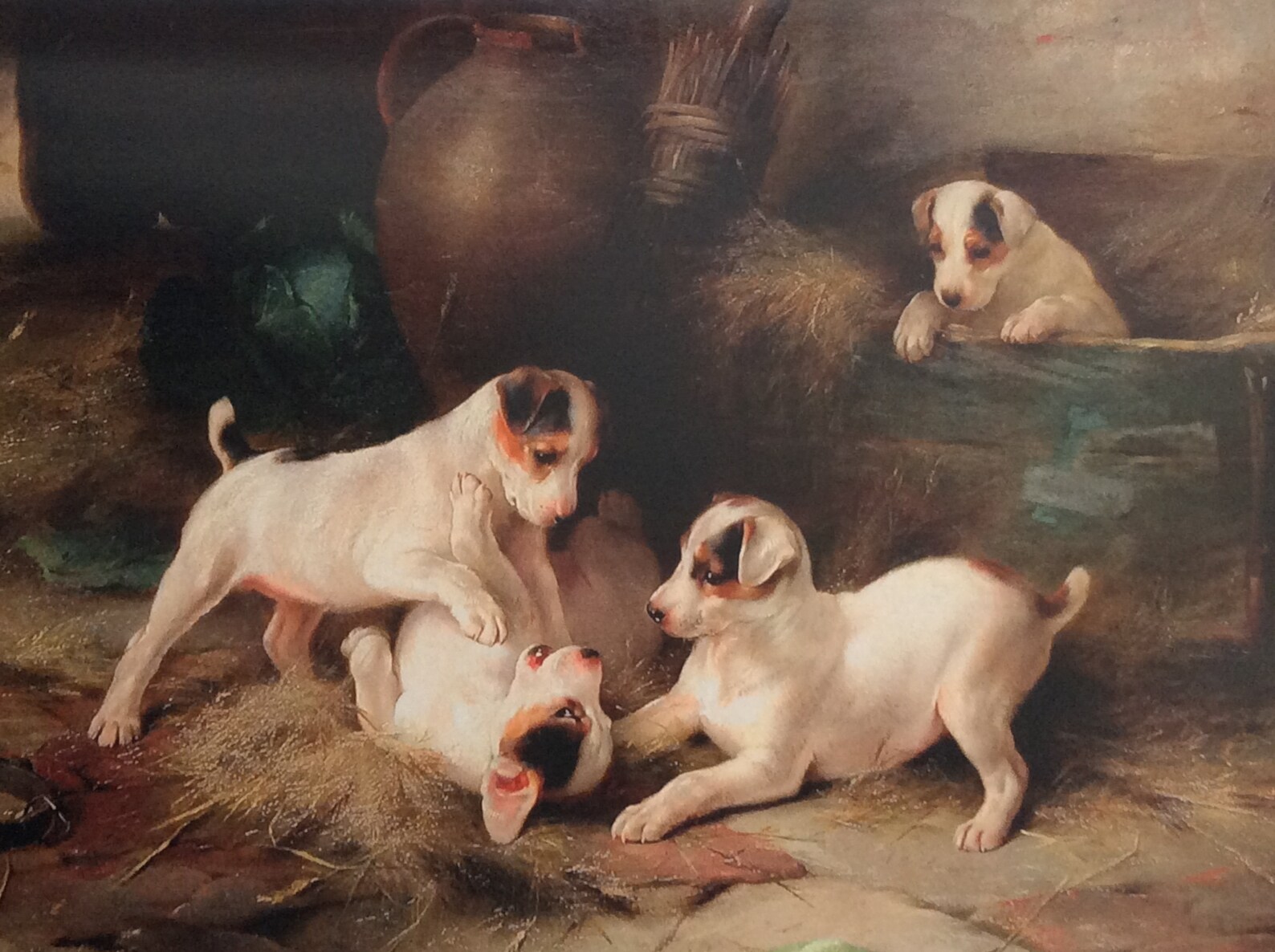 Vintage Dog Print Reproduction Ready to Frame 8 x 11 in. | Etsy