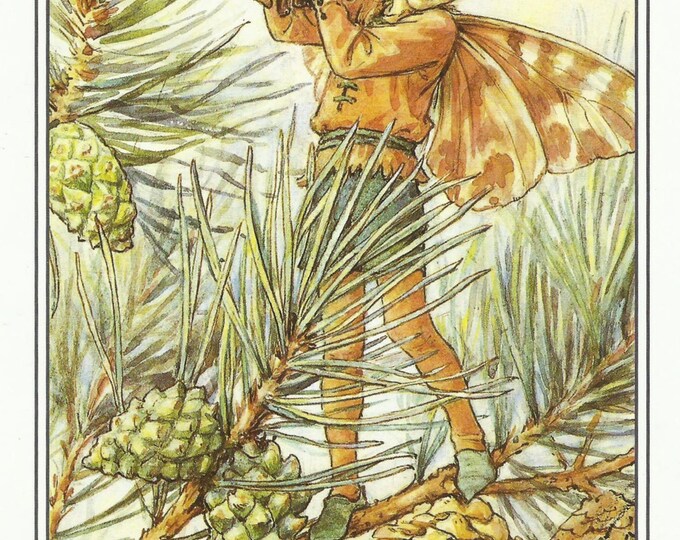 Cicely Mary Barker, Pine Tree Fairy/holly Fairy, Childrens Print ...