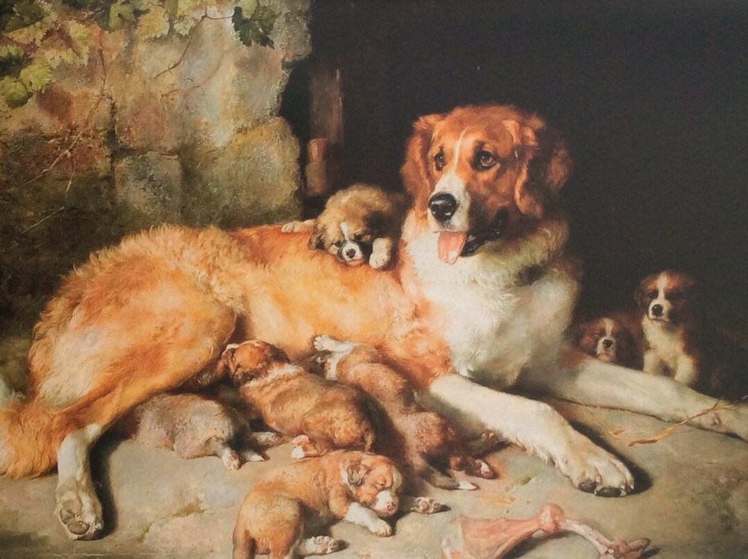 Vintage Dog Print Reproduction, Ready to Frame, 8 X 11 In. - Etsy