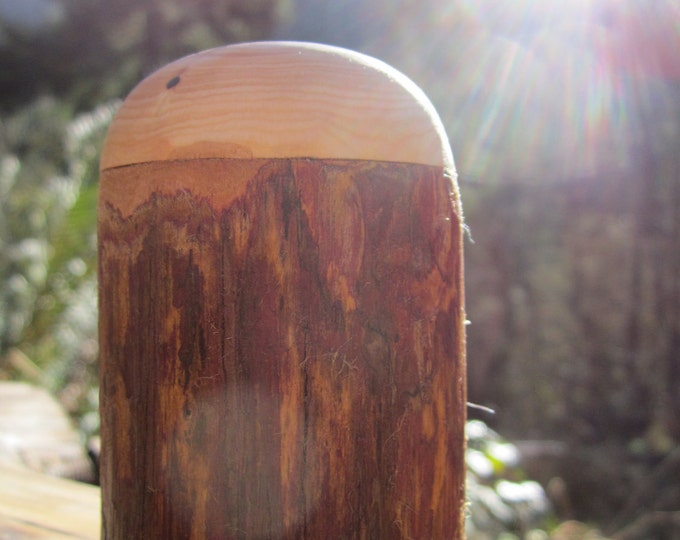 Herbal Salve in Wood Box Magical Healing Salve in Reclaimed Cedar ...