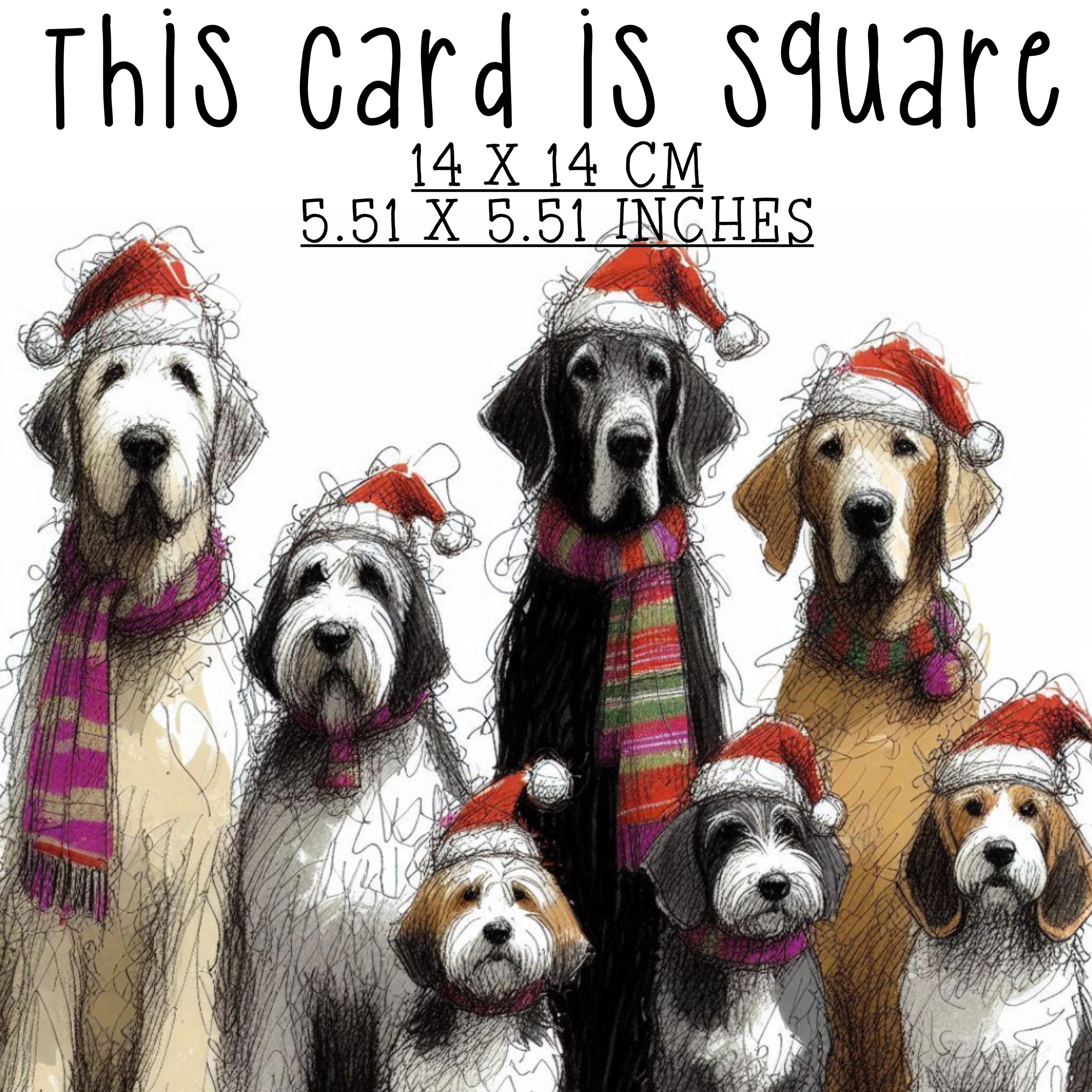 SCOTTISH TERRIER BLACK Dog (fc) Christmas Card. A Christmas Card for ...