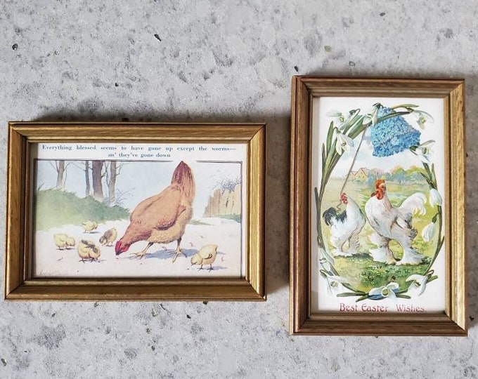 Vintage Original Chicken Postcards in Lightly Gilded Simple Wood Photo ...
