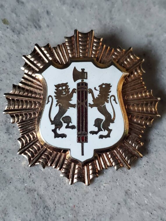 Vintage Heraldic Coat of Arms Shield Pins Brooches an… - Gem