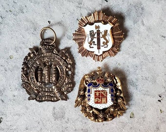 Coat of Arms Pins - Etsy