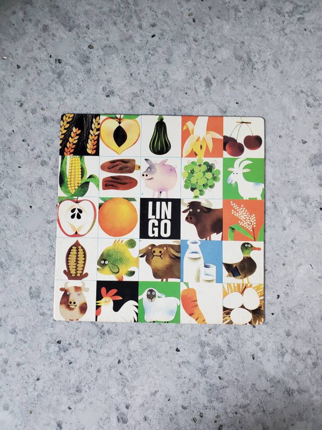 4 Groovy Vintage Barnyard Farmhouse Lingo Bingo Game Boards - Etsy