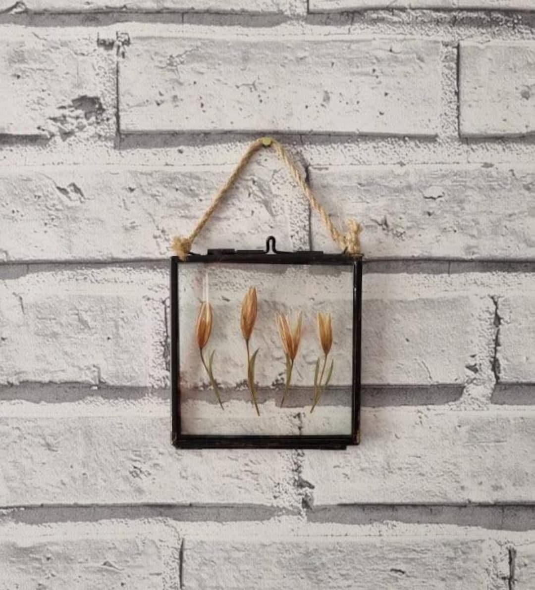 Pressed Mini Lilies | Real Dried Lily's | Framed Herbarium | Pressed ...