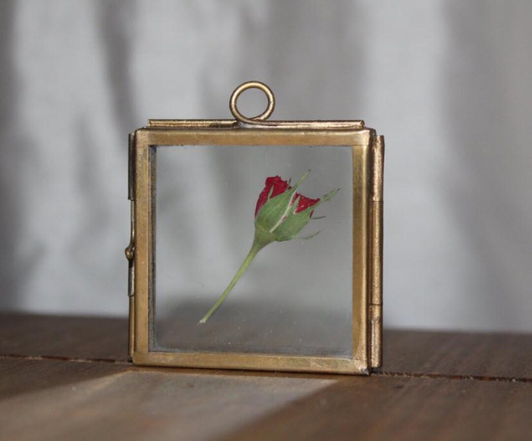 Red Pressed Rose | Dried Flowers | Flower Wall Art | Herbarium Frame ...